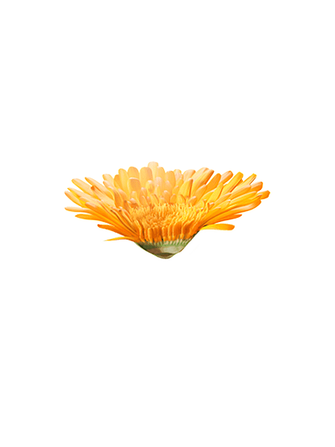 Серия Weleda для детей